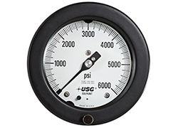 Process Gauges